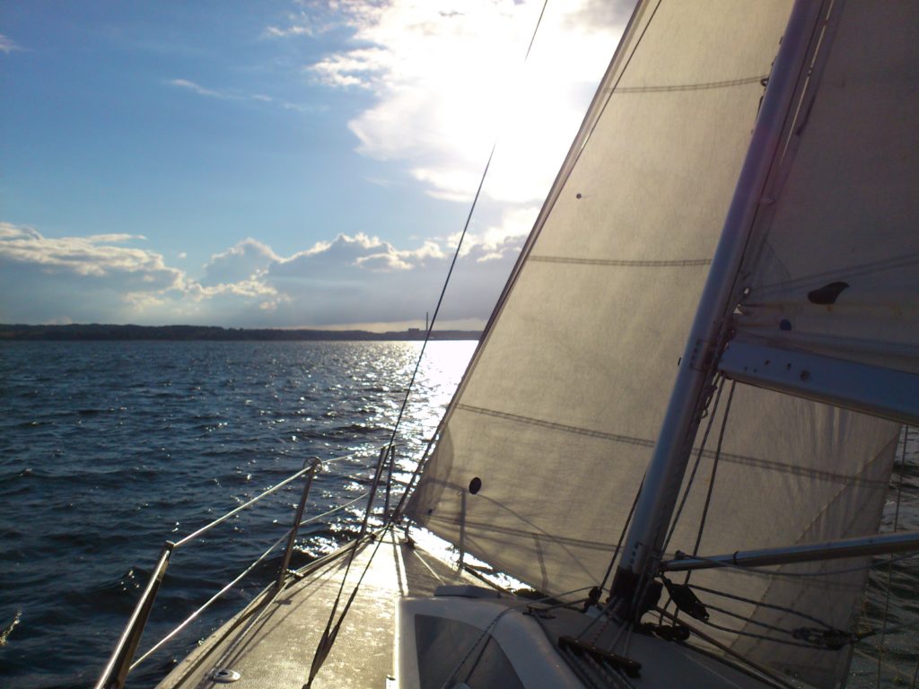 rulle04 - spidsgrisen